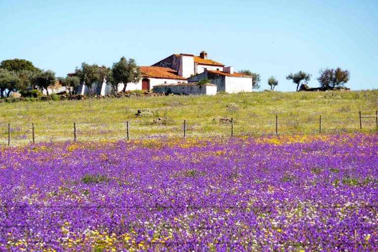 Best months to plan a bike tour in Portugal | Cycling Portugal